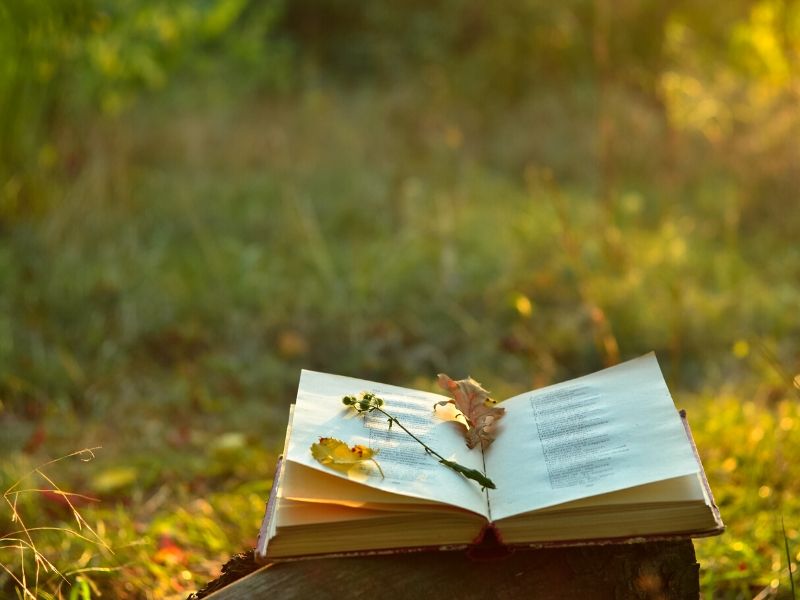 Tending Grief Series – Free Community Workshops – Humboldt Unitarian ...